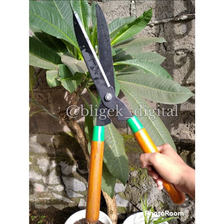Gunting rumput gunting tanaman gunting pangkas daun gagang kayu ...