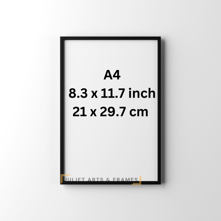A4 - 8.3 x 11.7 inch DIRECT FRAME - WALL DECOR (ONE INCH FRAMES ...
