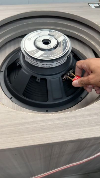 TOSUNRA instrumental speaker 12inches 400W amplifier accessories sound ...