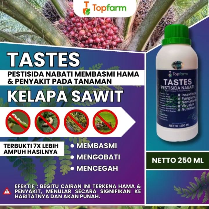 Obat Kumbang Tanduk Kelapa Sawit / Obat Pembasmi Hama Kelapa Sawit ...