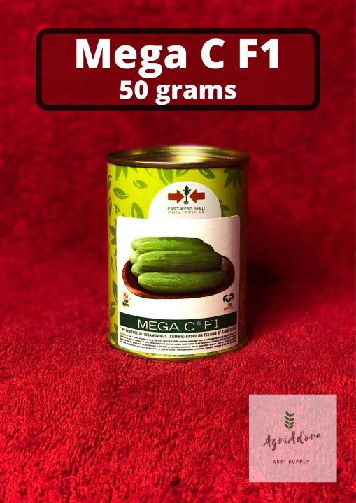 MEGA C F1 Hybrid Seeds 50grams (East-west Seed) Cucumber Seeds | Lazada PH
