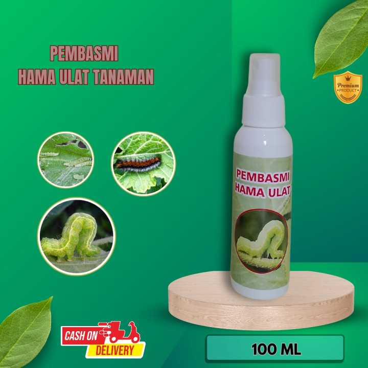 Spray Pembasmi Hama Ulat Tanaman | Pengusir Hama Ulat Tumbuhan | Racun ...