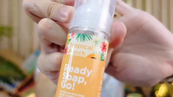 True Protect No-Rinse Foaming Hand Soap Ready Soap, Go! 3x Bundle with ...