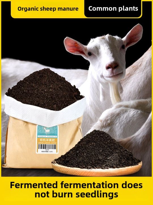 Sheep Manure Fermented Organic Fertilizer Sheep Manure Egg Chicken ...