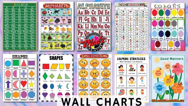 Laminated Wall Charts in A4 size | Lazada PH