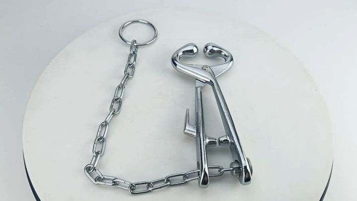 Alat Tindik Hidung Tang Penjepit Hidung Sapi Klip Sapi Alat Tarik With ...