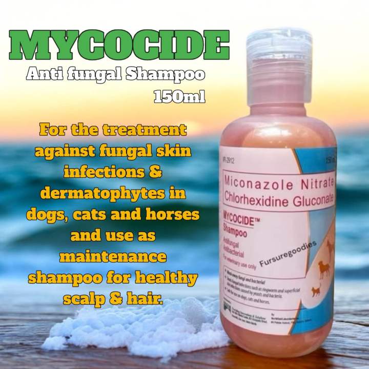 Mycocide Anti Fungal , Antibacterial Shampoo 150ml | Lazada PH