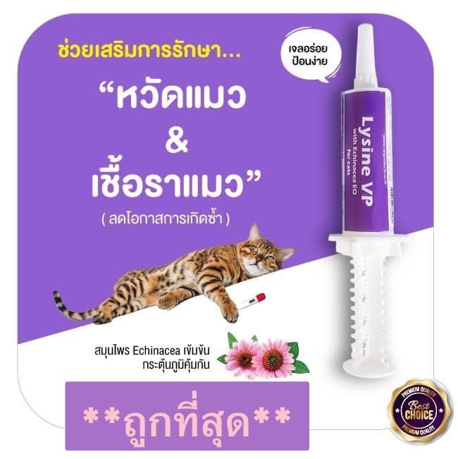 Lysine VP อาหารเสริมไลซีนเข้มข้นสำหรับน้องแมว (20 ml) เสริมภูมิ ทานง่าย ...