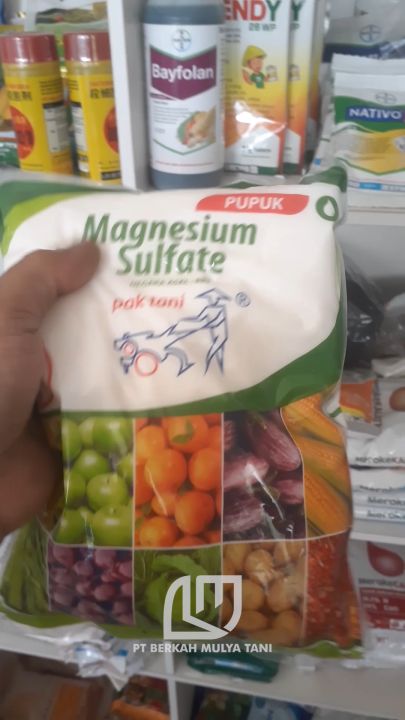 1 Kg Pupuk Magnesium Sulfat Pak Tani Sulfate Garam Inggris Untuk ...
