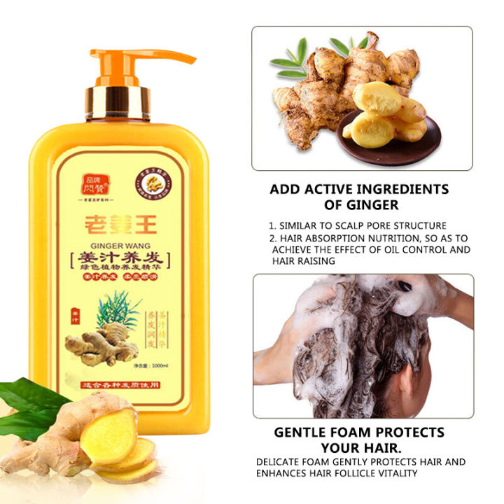 100% Original Natural Ginger Shampoo for Hair Loss Herbal Ginger ...