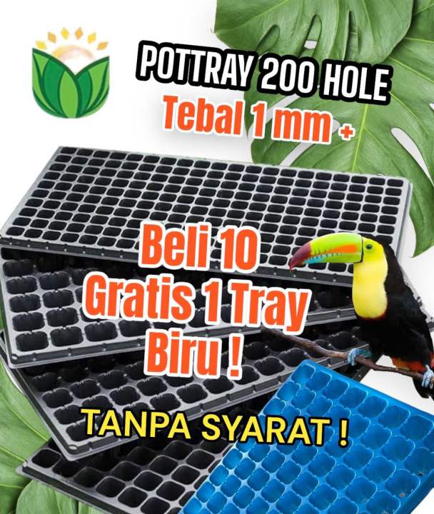 POTTRAY ALAT SEMAI TYPE 200 LUBANG tebal 1 mm gratis tray biru | Lazada ...
