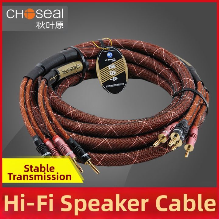 Choseal | High-Quality Speaker Cable Banana Plug Audio Wire | Lazada ...
