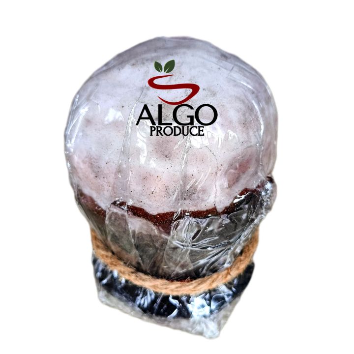 Asin Tibuok from Albuquerque Bohol Artisan Salt | Lazada PH