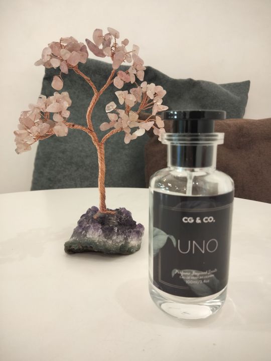 UNO by CG & Co. Fragrance | Lazada PH