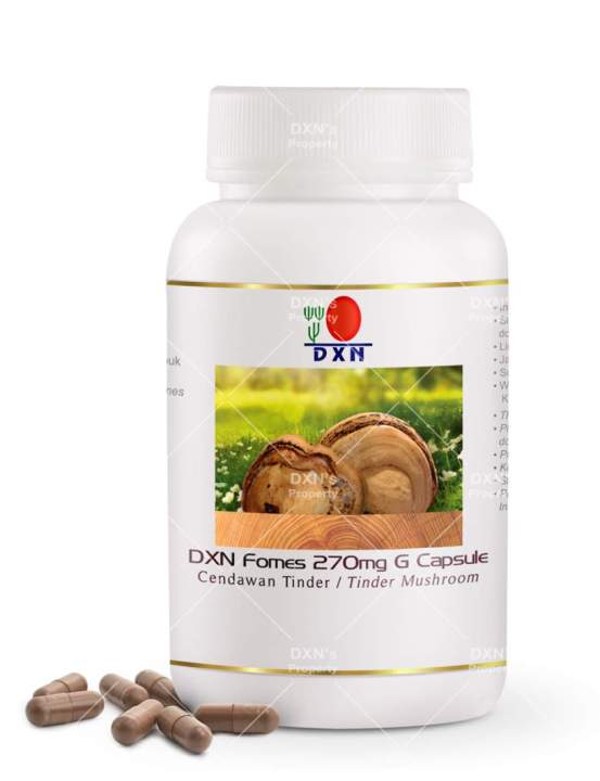 DXN Fomes 270mg G 90's | Lazada