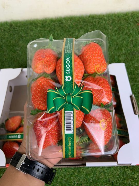 Strawberry Korea Super 330 grm /pack | Lazada Indonesia