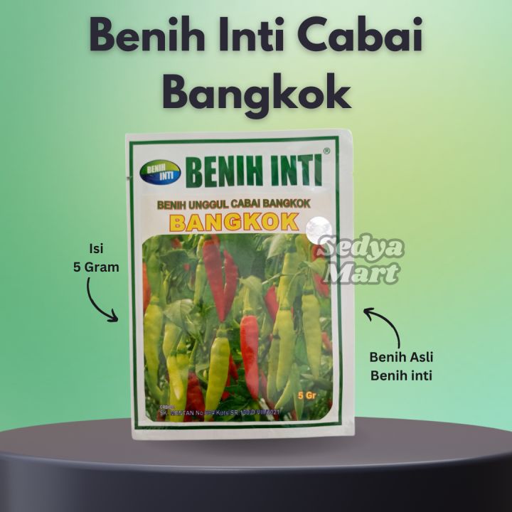 Benih Cabai Rawit Hijau Bangkok Ijo Isi 5 Gram Benih Inti | Lazada ...
