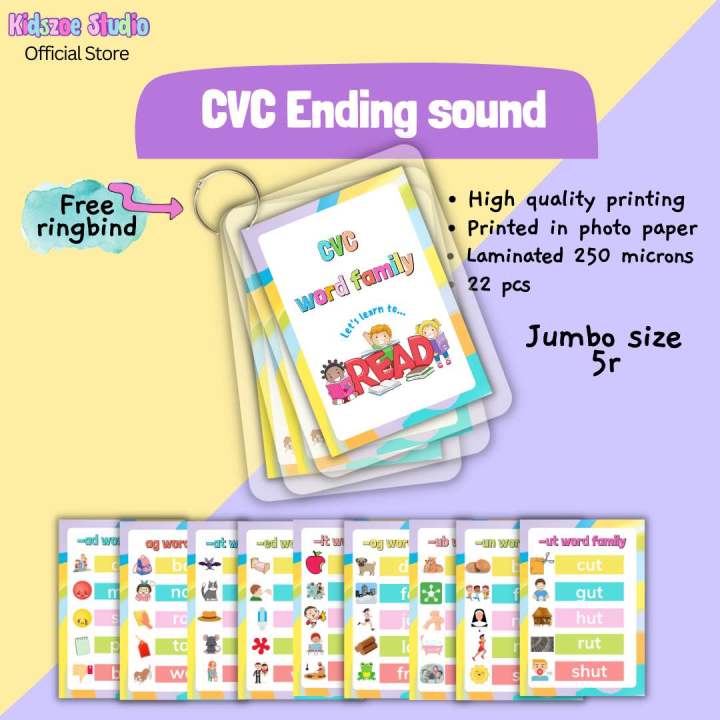 CVC family ending sounds reading educational laminated flash cards ...
