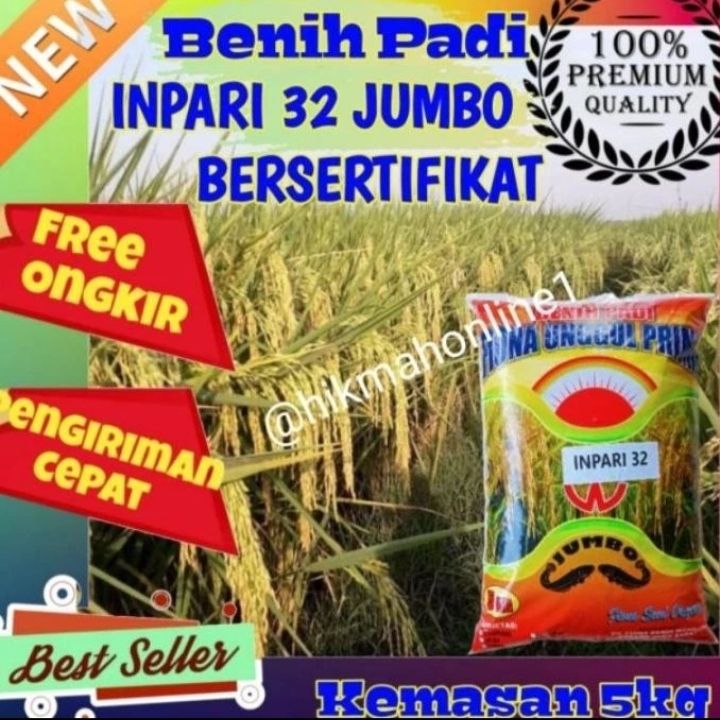 Benih padi INPARI 32 JUMBO KEMASAN 5KG | Lazada Indonesia