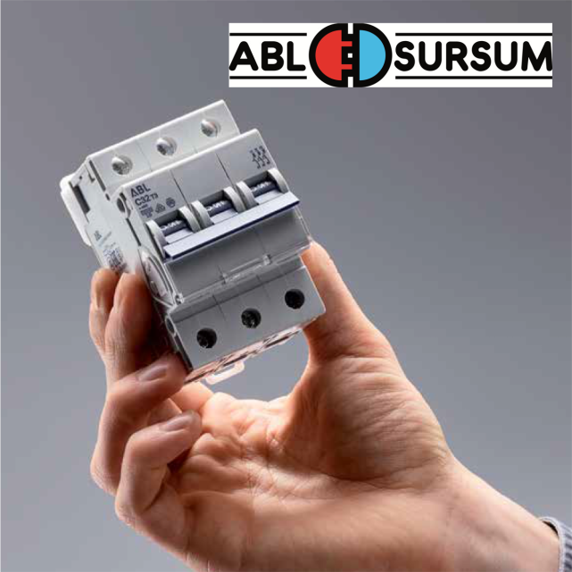 ABL Sursum 1 Pole 1P 2 Pole 2P 3 Pole 3P 10A 16A 20A 32A MCB Hager Schneider | Lazada