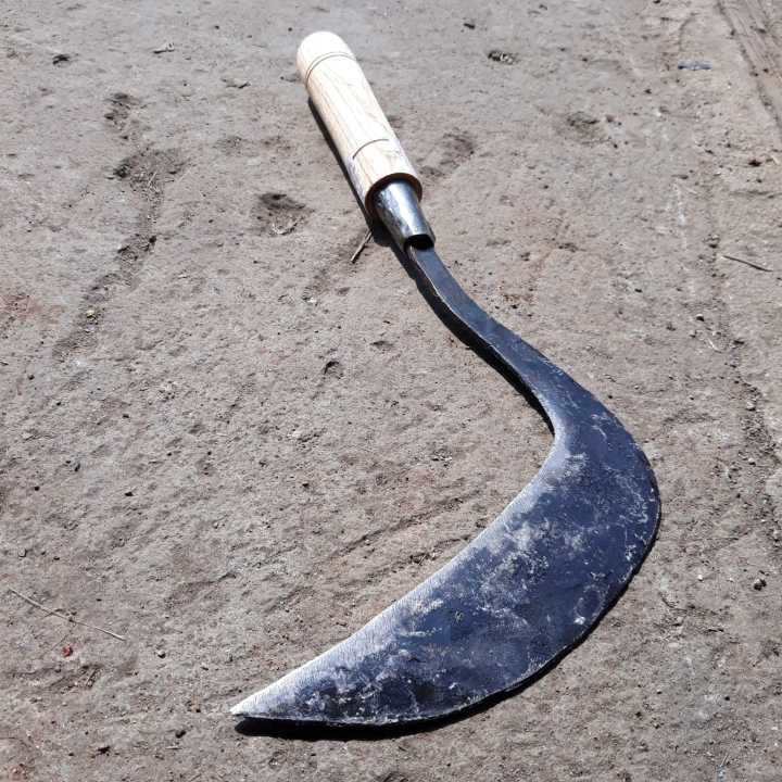 Alat Pemotong Rumput Arit Rumput Tajam Arit Bintang | Lazada Indonesia