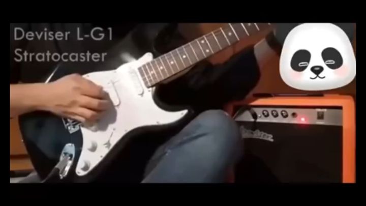 Deviser TG-15W,30W Electric Guitar Amplifier Acoustic Guitar Amplifier ...