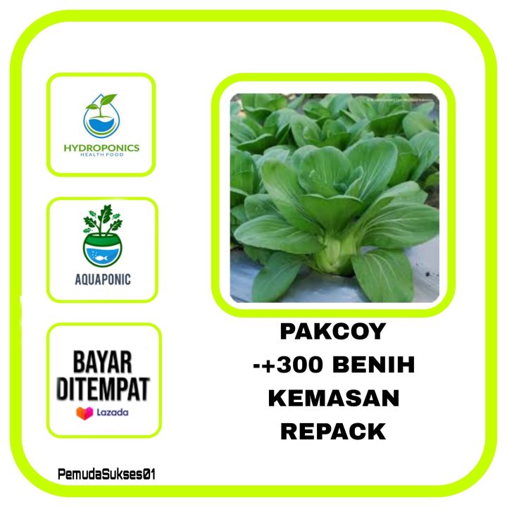 300 benih pakcoy unggul benih pakcoy super | Lazada Indonesia