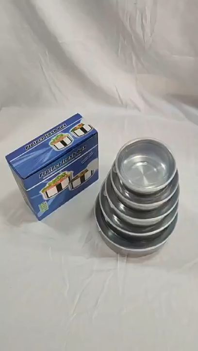 Protect Fresh Box 5 in 1 Stainless Protect Fresh Box | Lazada PH