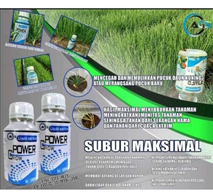 POWER GROW 500ml Mencegah dan Memulihkan Pucuk Daun Kuning Atau ...