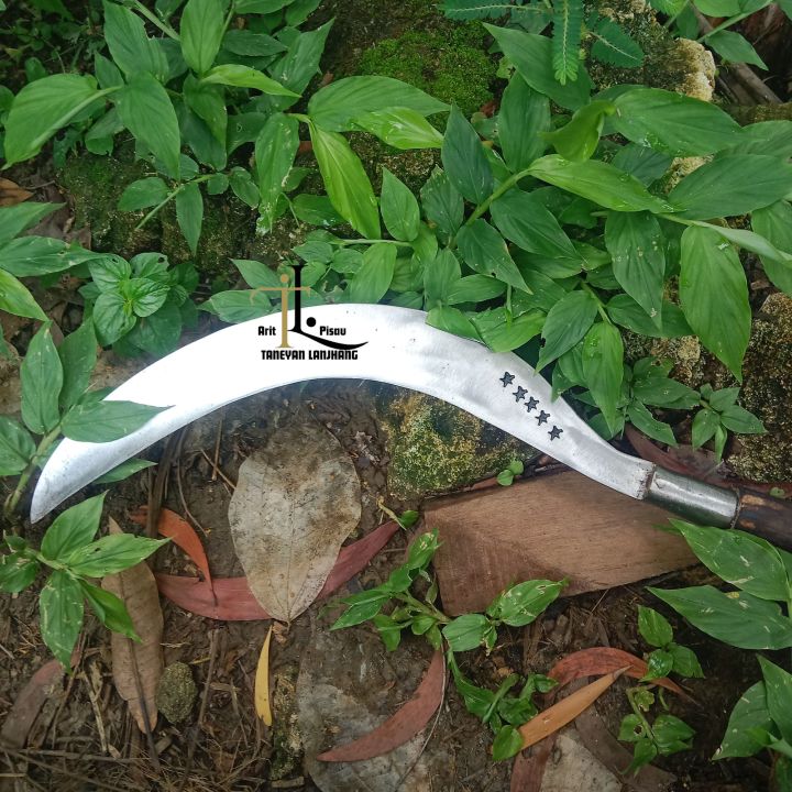 Arit Panjang Cap Bintang 5 Ukuran 54 cm/Arit Super Top/Sabit Rumput ...