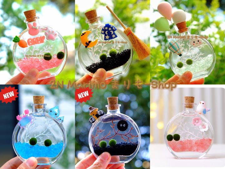 (พร้อมส่ง) มาริโมะ Marimo Set ขวดทรงน้ำหอม1️⃣มาริโมะ2ลูกกับชุดพร้อมเลี้ยง สาหร่ายตกแต่งตู้ปลา ...