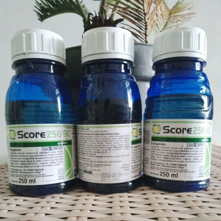 FUNGISIDA SCORE 250EC 250ml | FUNGISIDA SCORE | Lazada Indonesia