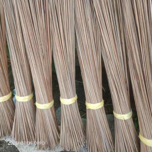 Broom Reed (Walis Tingting) Regular Size/Makapal | Lazada PH
