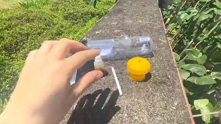 Fruit Fly Trap Bottle 果蝇 Insect Flies Catcher Fruit Fly Attractant ...