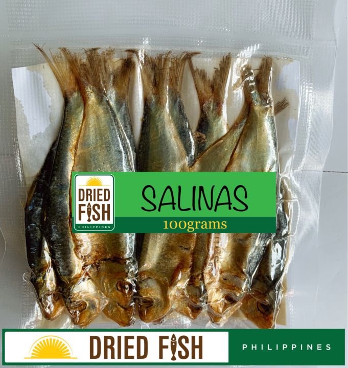 DFP Dried Fish Salinas Tuyo 100grams | Lazada PH