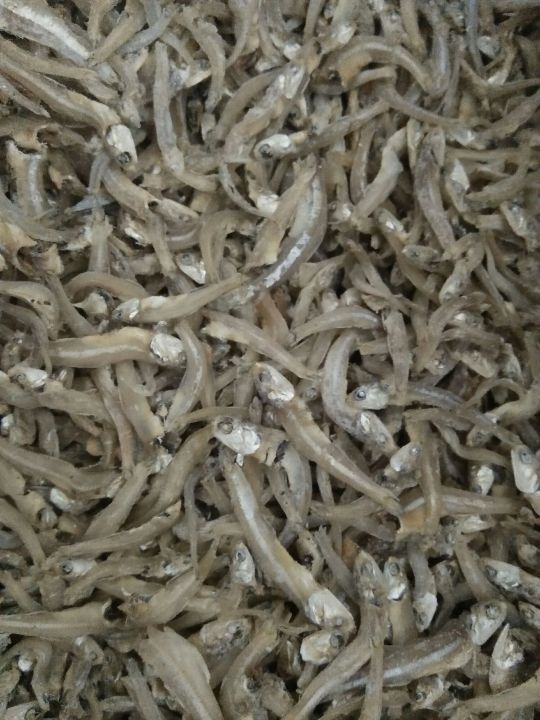 ikan bilis halus Vietnam | Lazada