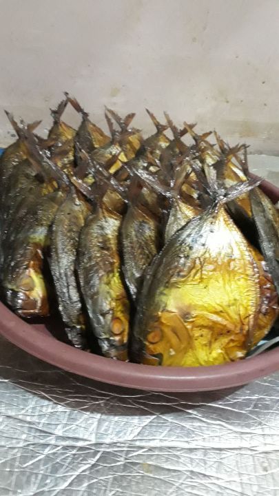 ikan semar ani2 khas pemalang isi 5 pc(ukuran jumbo) | Lazada Indonesia