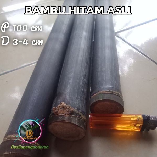 bambu hitam asli ukuran kecil panjang 100 cm diameter 3-4 cm | Lazada ...