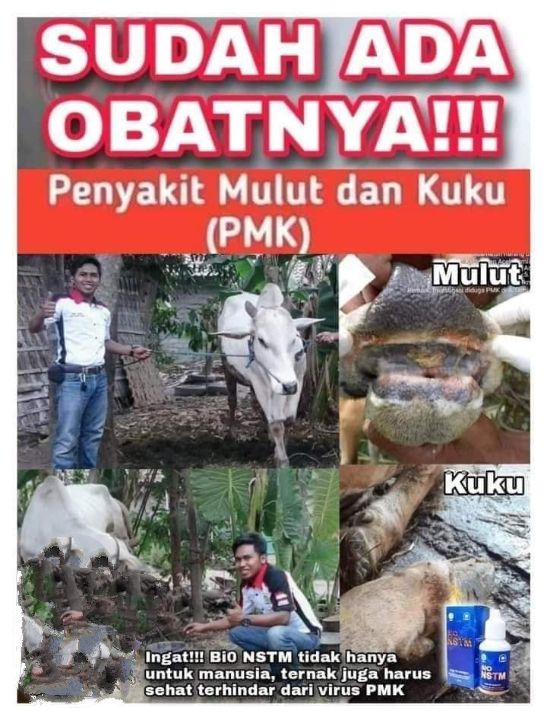 PMK Sapi penyakit Kuku Dan MulutTerampuh BELI 2 NSTM LEBIH HEMAT - Obat ...