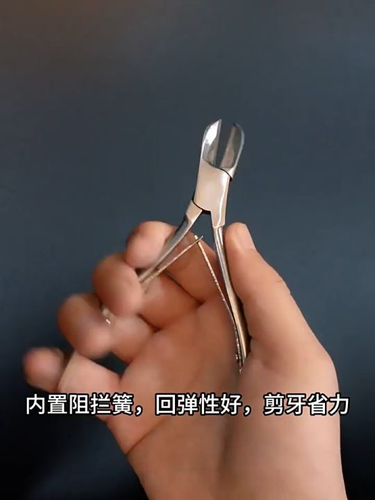 10/12/14cm Piglet Teeth Cutter Nipple Cutting Clipper Forceps for Pig ...