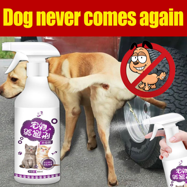 🐱Run away smell it🐶 LLS Cat repellent Pet repellent spray Cat repellent ...