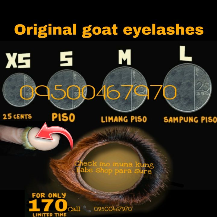 Original goat eyelashes/Pilik mata ng kambing for men | Lazada PH