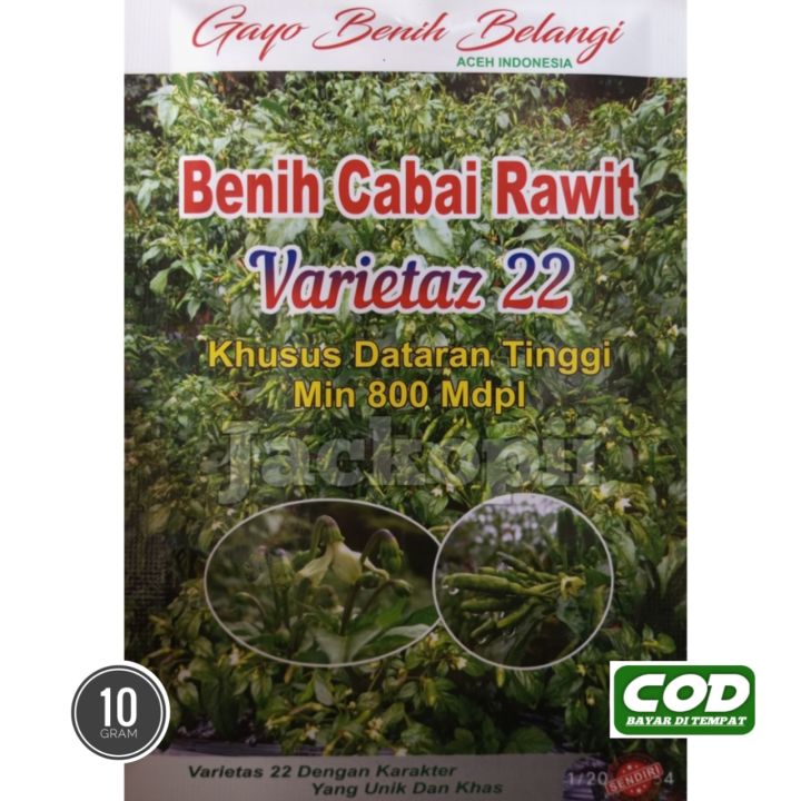 Benih Cabai Rawit Varietas 22 - Cabe Rawit Setan - Varietas 22 | Lazada ...