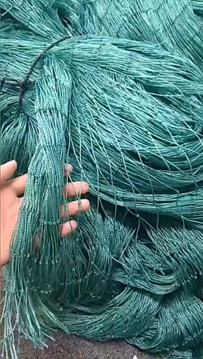 CHICKEN NET 100meters FREE ROPE Farm Net• Ranging Net• Range Net Poly ...