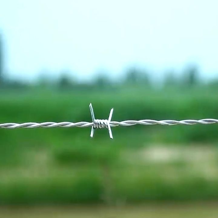 PVC and Galvanized Barbed Wires protect mesh For High Security Fence ...