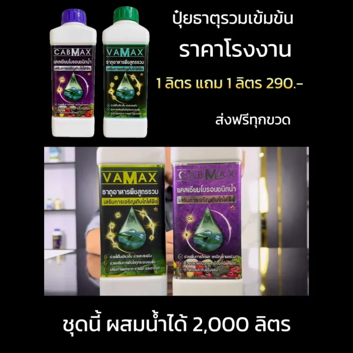 1 แถม 1 🌿 VAMAX + CABMAX ปุ๋ยธาตุอาหารรวมเข้มข้น เกษตรรุ่นใหม่ต้องมี ...