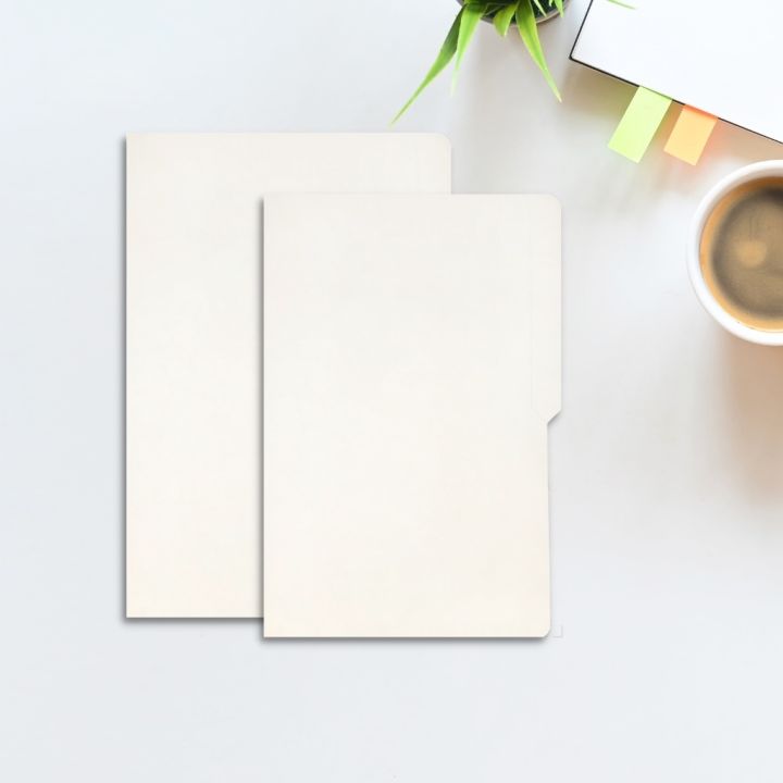 White File Folder. 1pcs(short/long) | Lazada PH