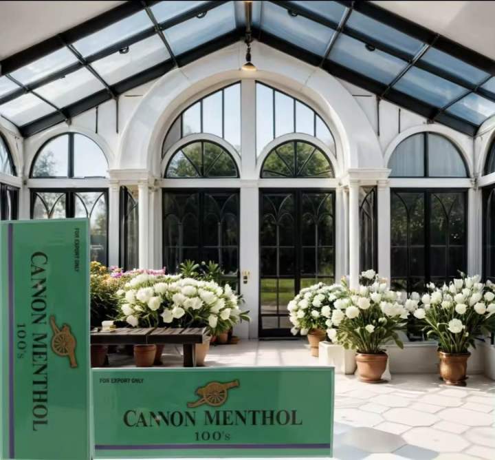 Genuine CANNON MENTHOL Cigarette Friend REM MILK TEA | Lazada PH