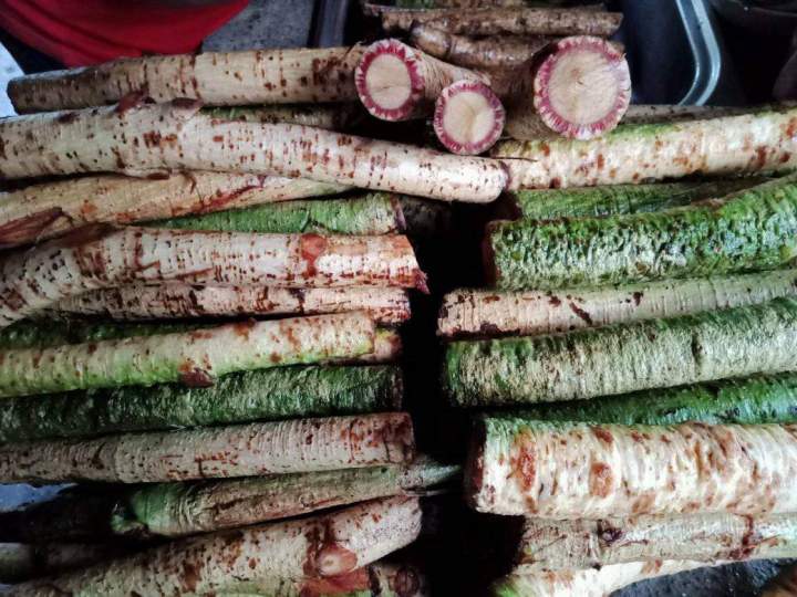 Fresh Red Alingatong Roots Lazada Ph