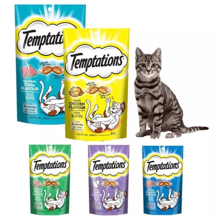 TEMPTATIONS cat treats assorted flavors 75g temptation | Lazada Singapore